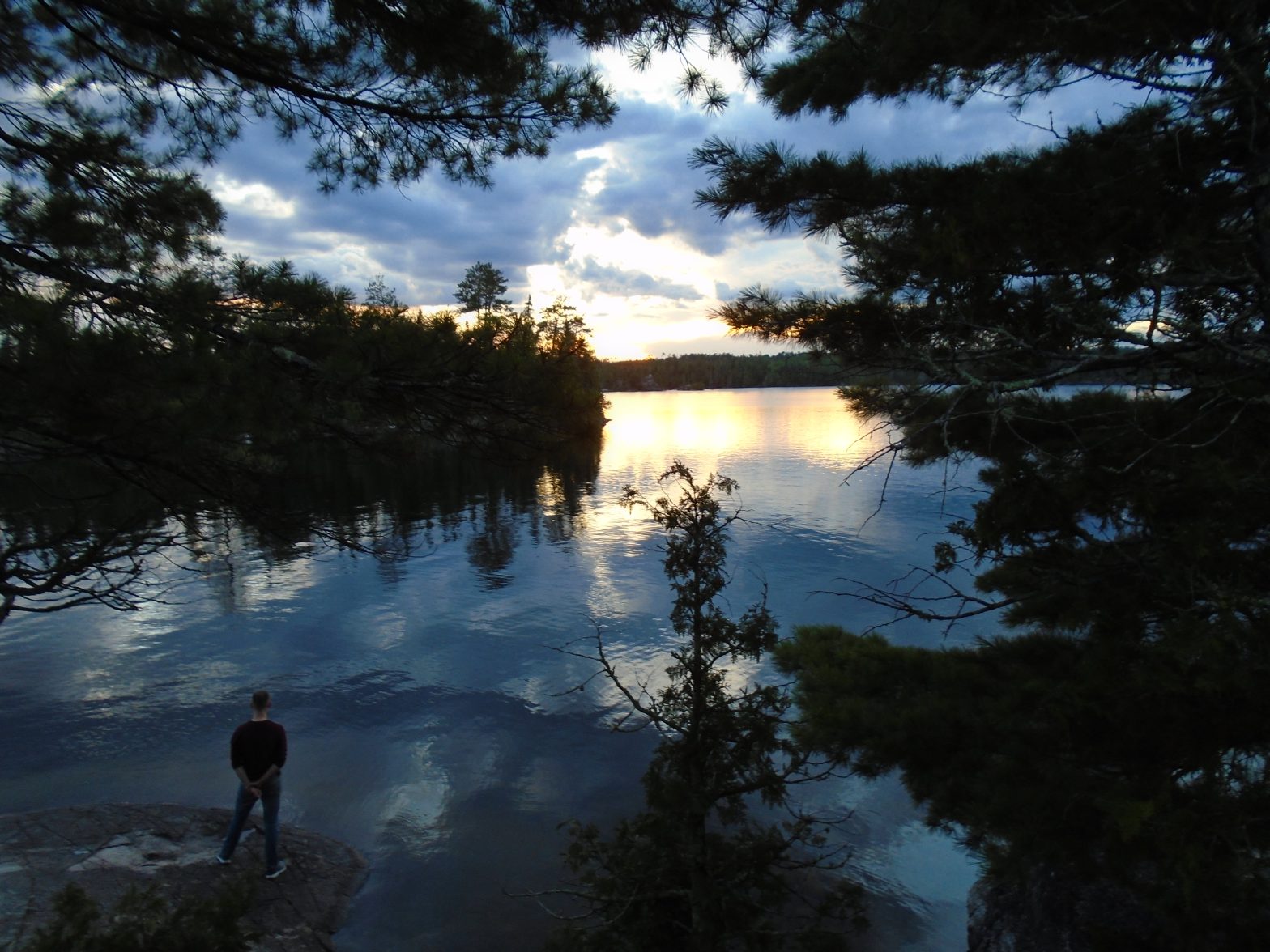 Article: Diverse Pathways to the PhD: A Study of Women Faculty in the ...